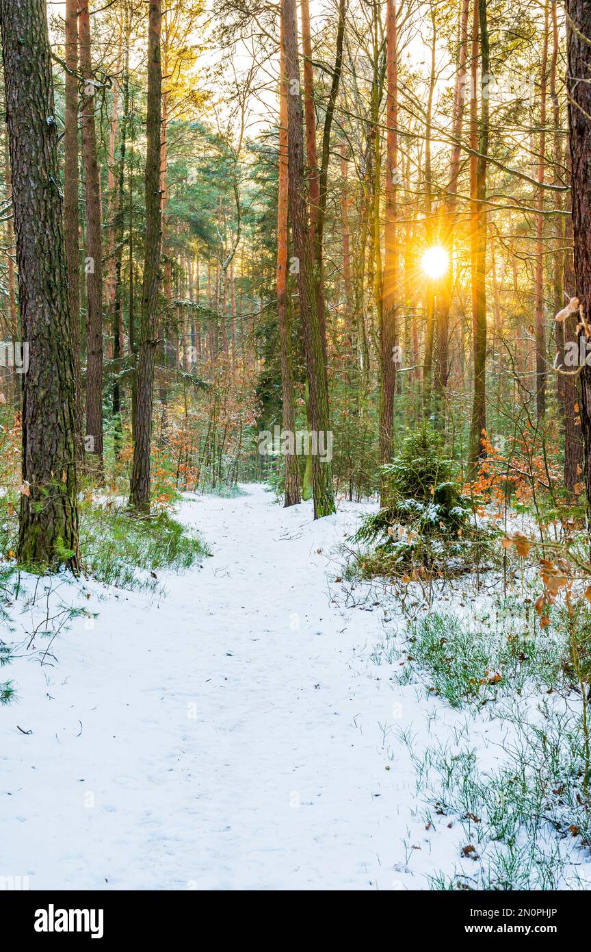 Sunfall hi-res stock photography and images - Alamy