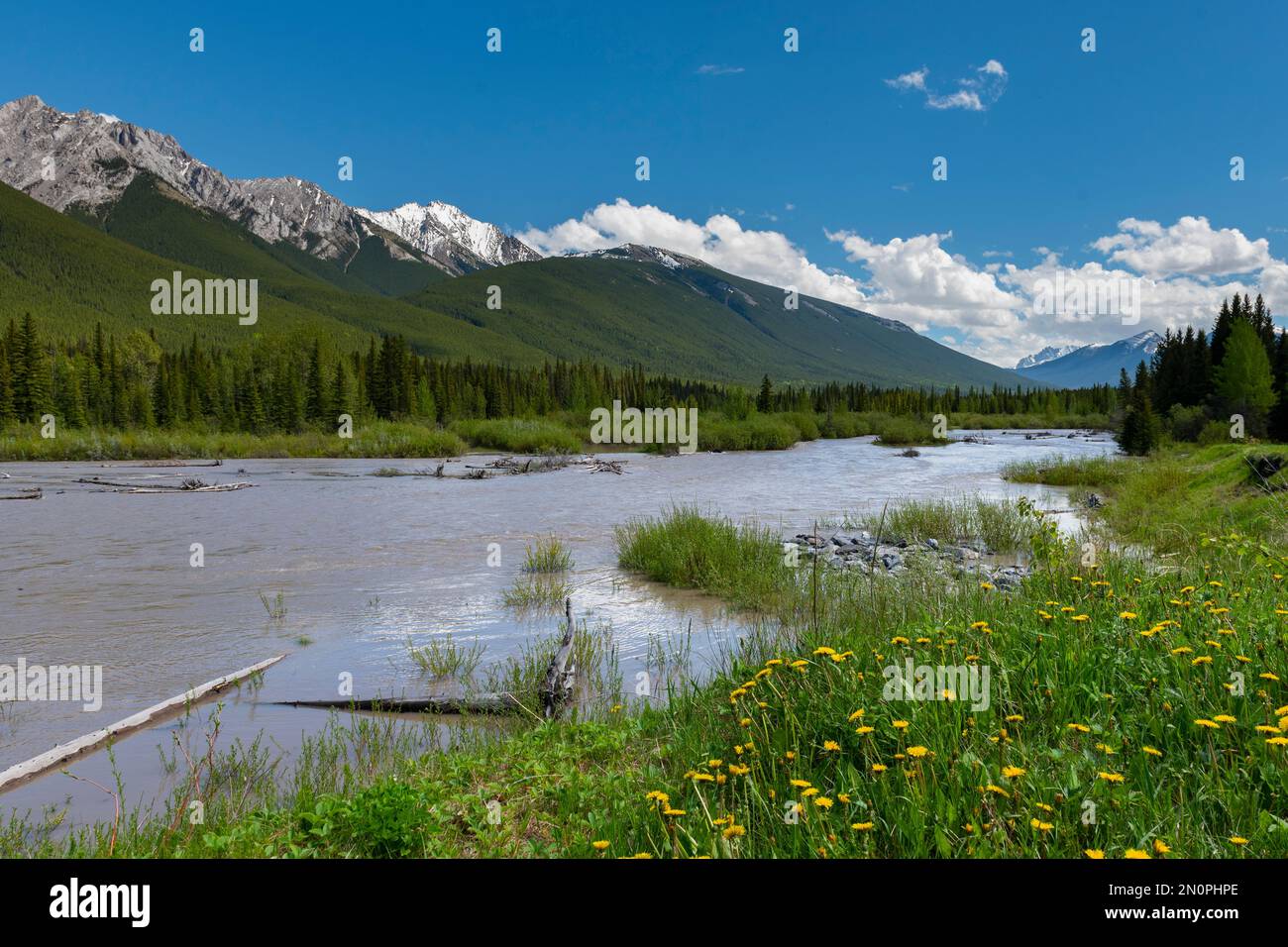 Scenic summer views in the the Canadian Rocky Mountains. Kananaskis ...