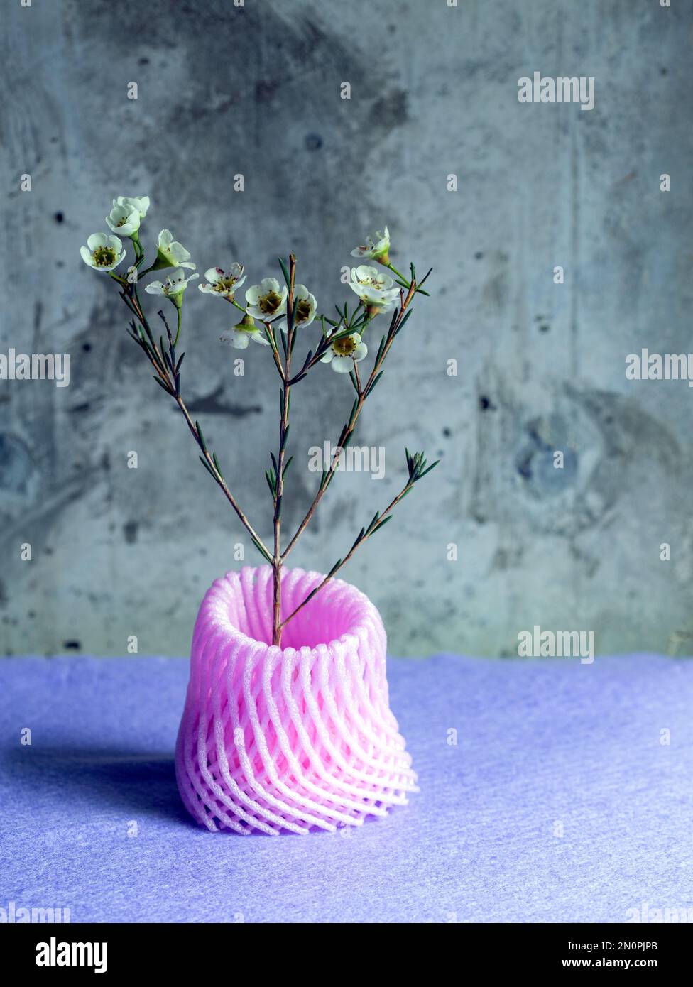Studio shot, a stem of small white flowers in a pink recycled plastic ...