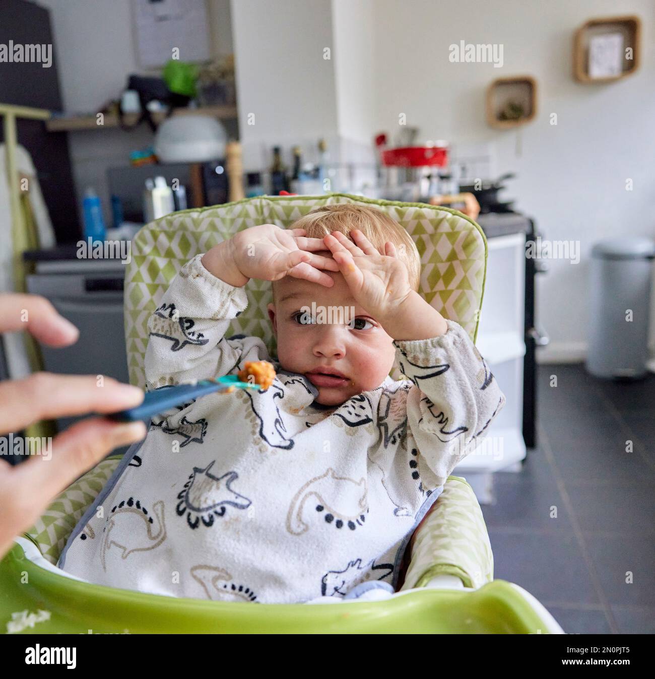 Toddler with hands up refusing food sitting in high chair in kitchen ...