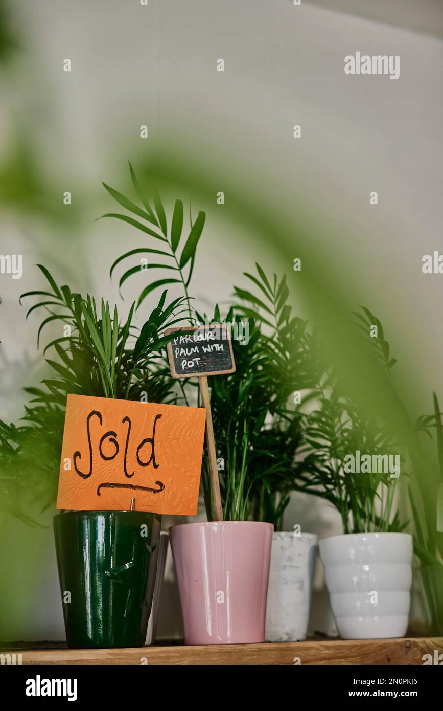 2n0pkj6 hi-res stock photography and images - Alamy