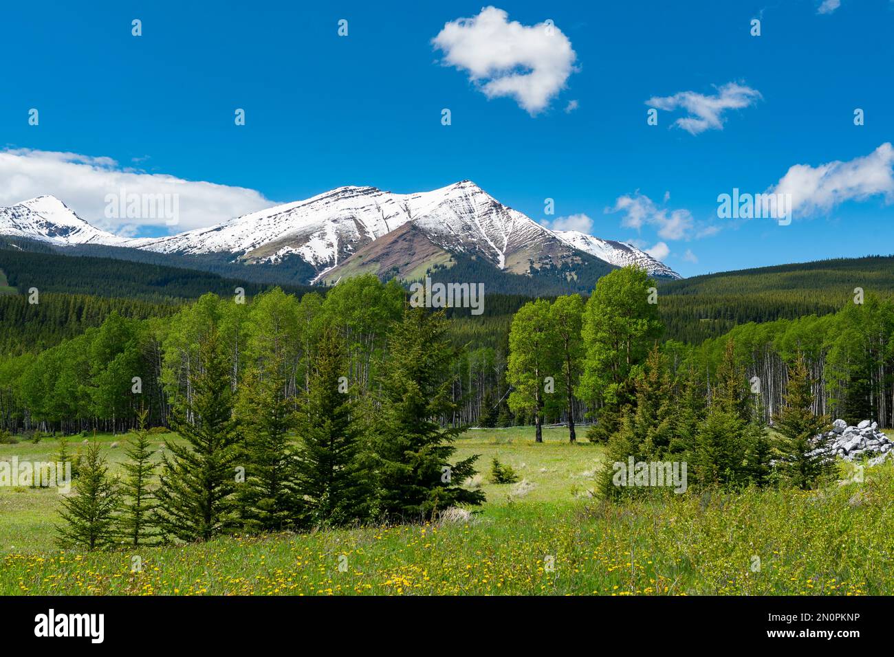 Scenic summer views in the the Canadian Rocky Mountains. Kananaskis ...