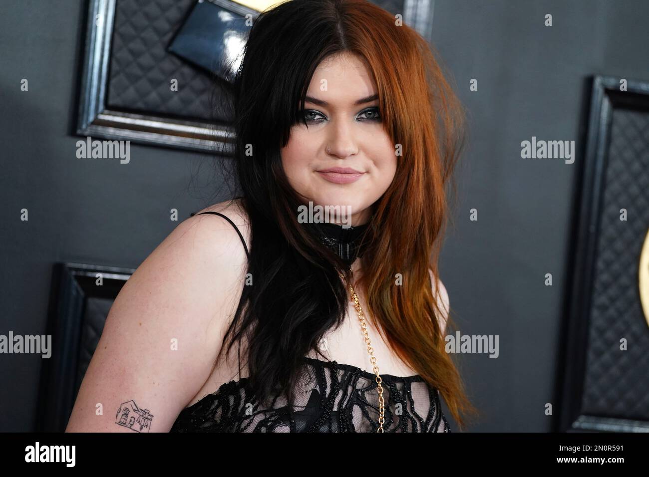 Gayle arrives at the 65th annual Grammy Awards on Sunday, Feb. 5, 2023 ...