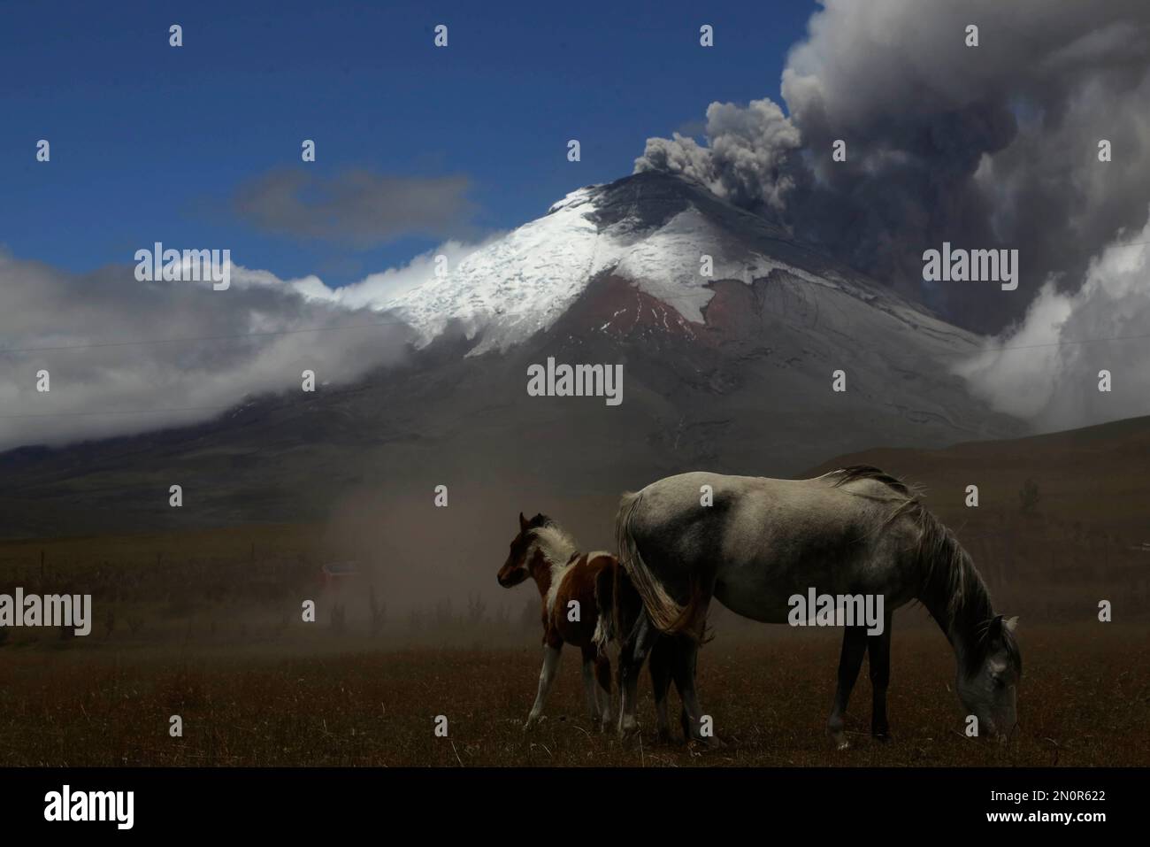FILE - In this Sept. 3, 2015, file photo, the Cotopaxi volcano spews ...