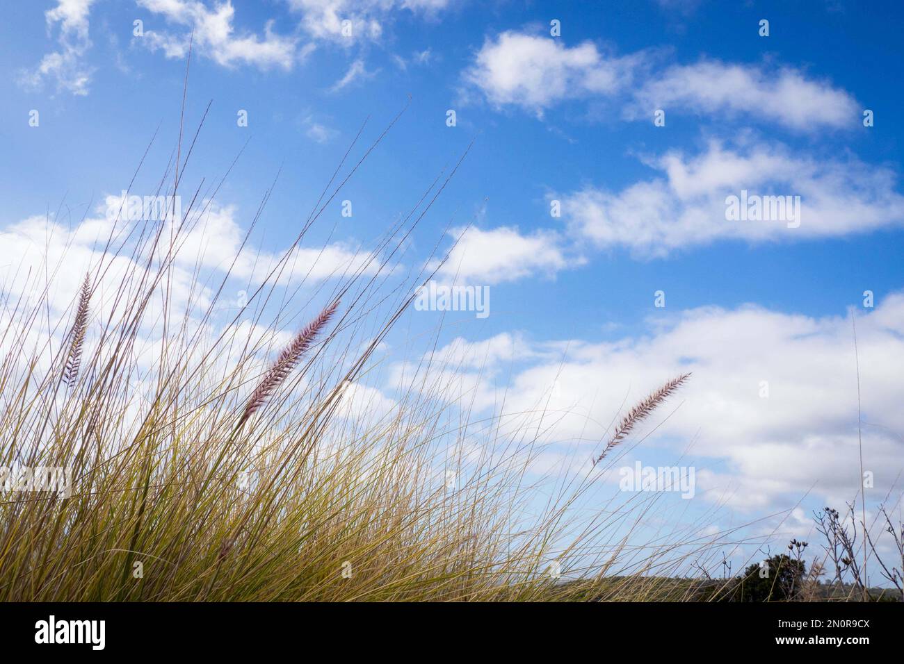 Valido trail hi-res stock photography and images - Alamy