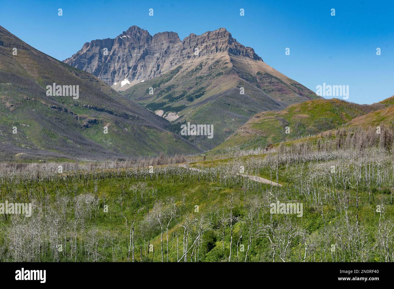 Scenic summer views in the the Canadian Rocky Mountains. Waterton Lakes ...
