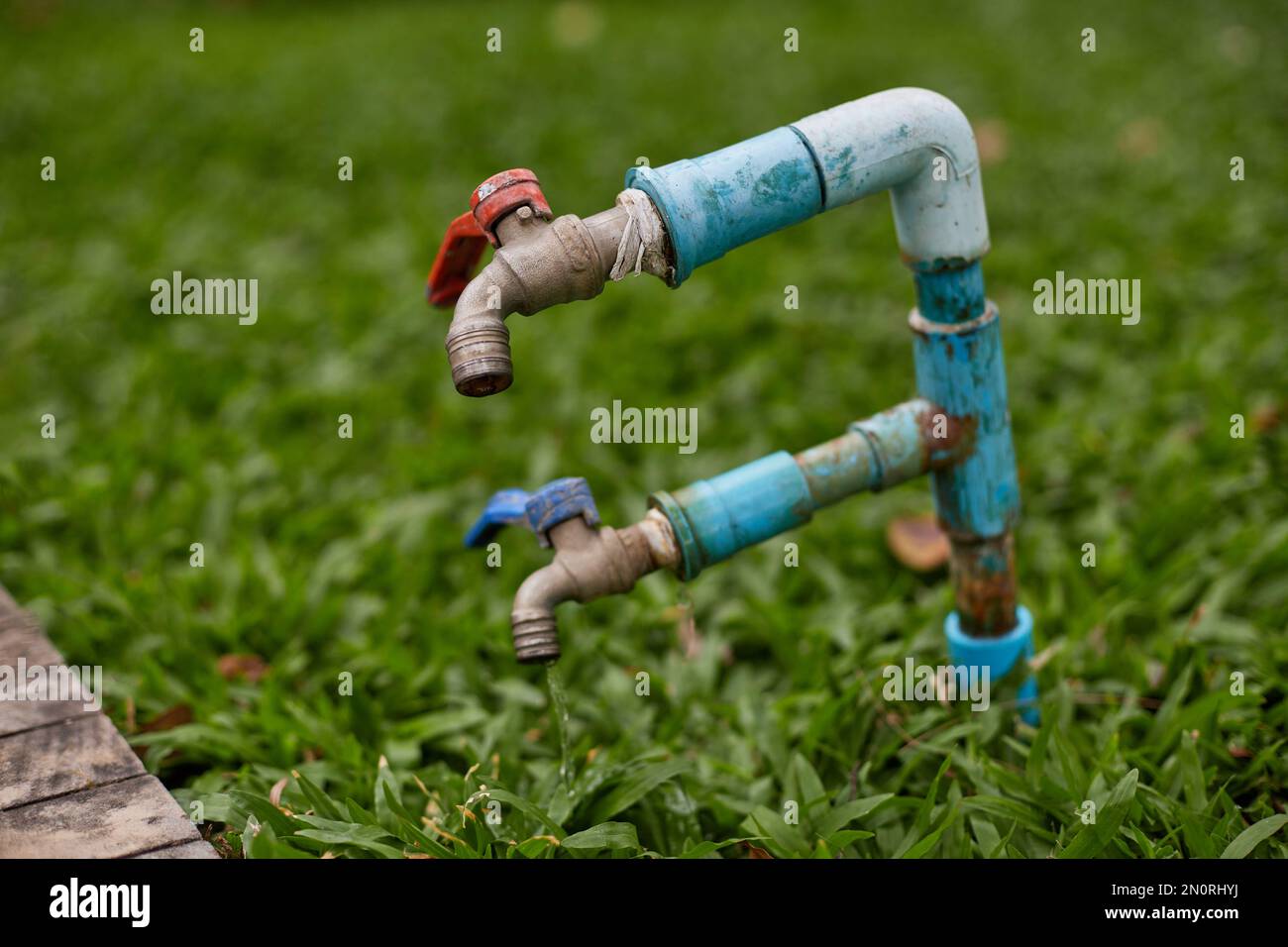 Double faucet in backyard Stock Photo - Alamy