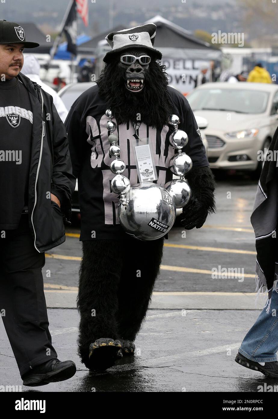 Oakland Raiders fan Gorilla Rilla walks in the O.co Coliseum parking ...