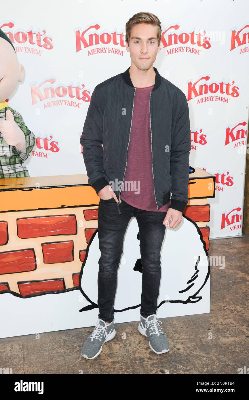 Austin North attends Countdown to Christmas and Snoopy's Merriest Tree ...