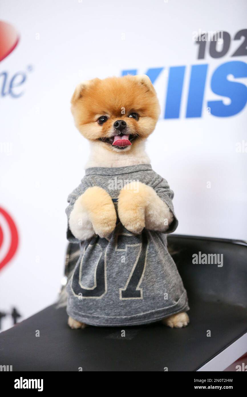 Jiff Pom arrives at 102.7 KIIS FM's iHeartRadio Jingle Ball at Staples ...