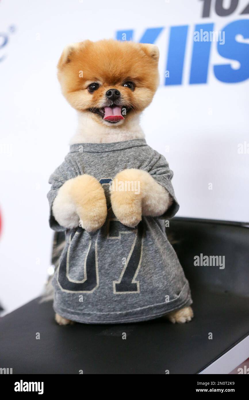 Jiff Pom arrives at 102.7 KIIS FM's iHeartRadio Jingle Ball at Staples Center on Friday, Dec. 4 ...