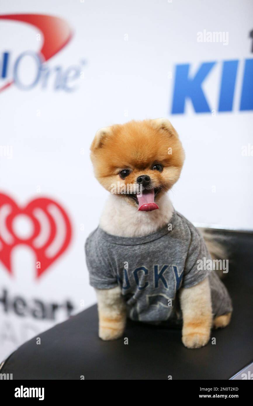 Jiff Pom arrives at 102.7 KIIS FM's iHeartRadio Jingle Ball at Staples Center on Friday, Dec. 4 ...