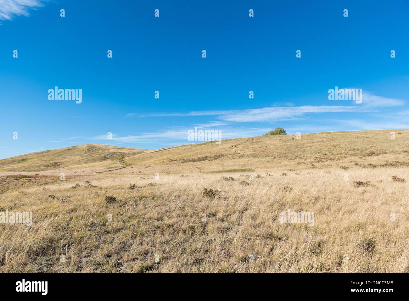 Police outpost park hi-res stock photography and images - Alamy
