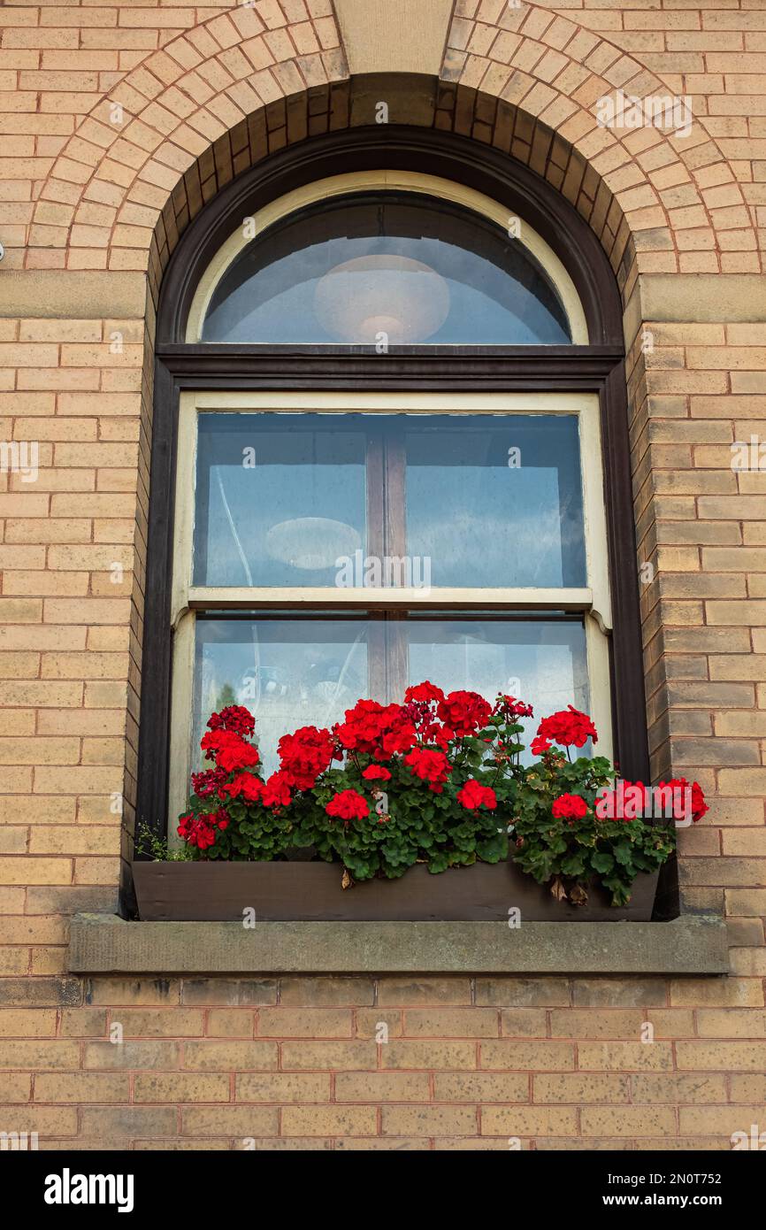 Brick wall with arched windows, flower pots. Old ornamented window with ...