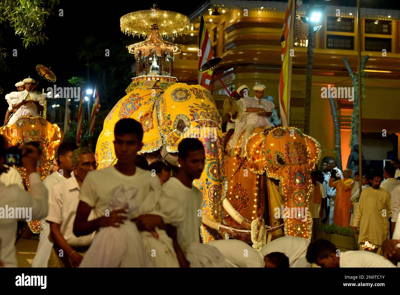 Colombo, Western Province, Sri Lanka. 5th Feb, 2023. Majestic Tusker ...