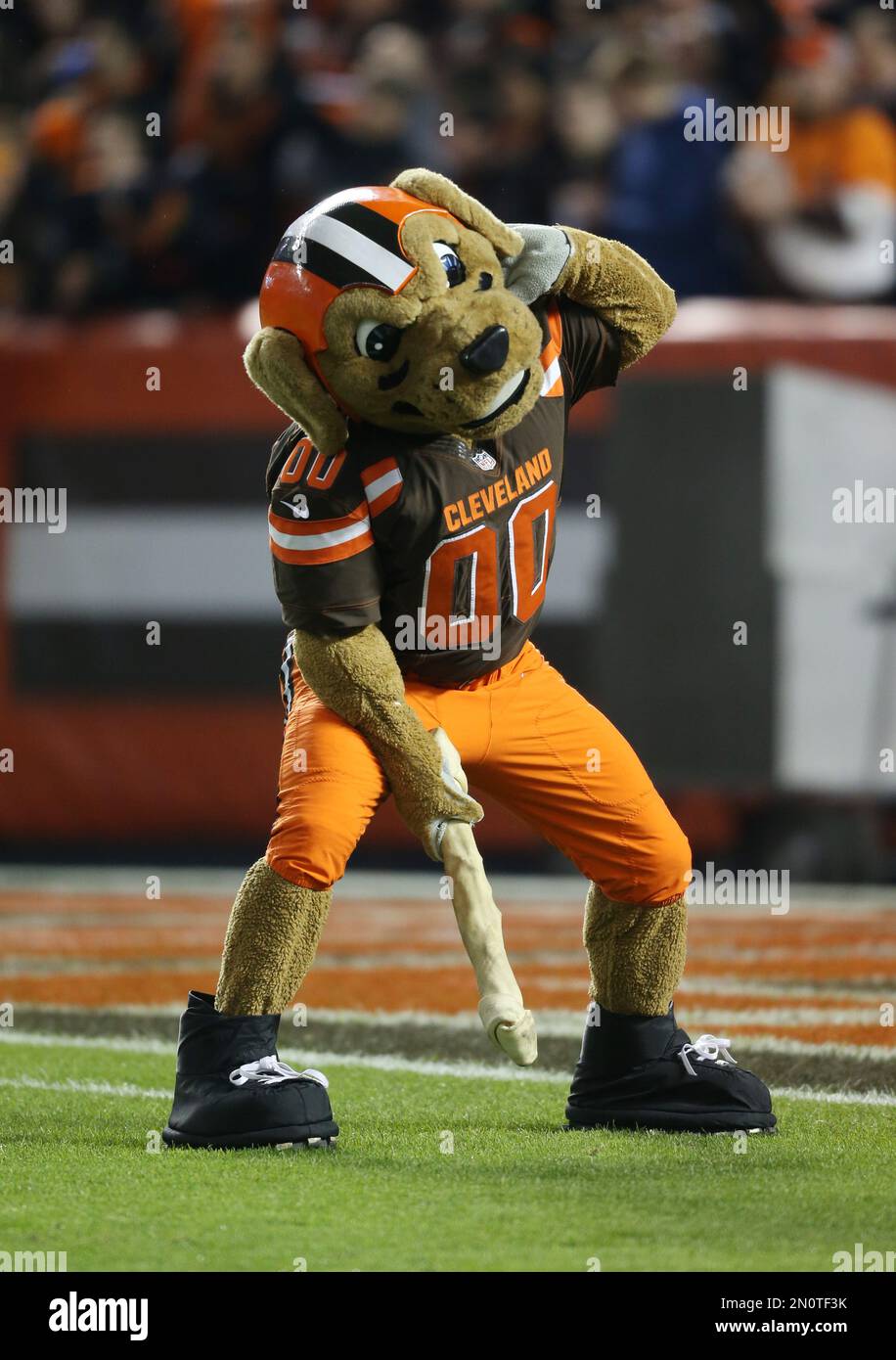 Browns Football Mascot