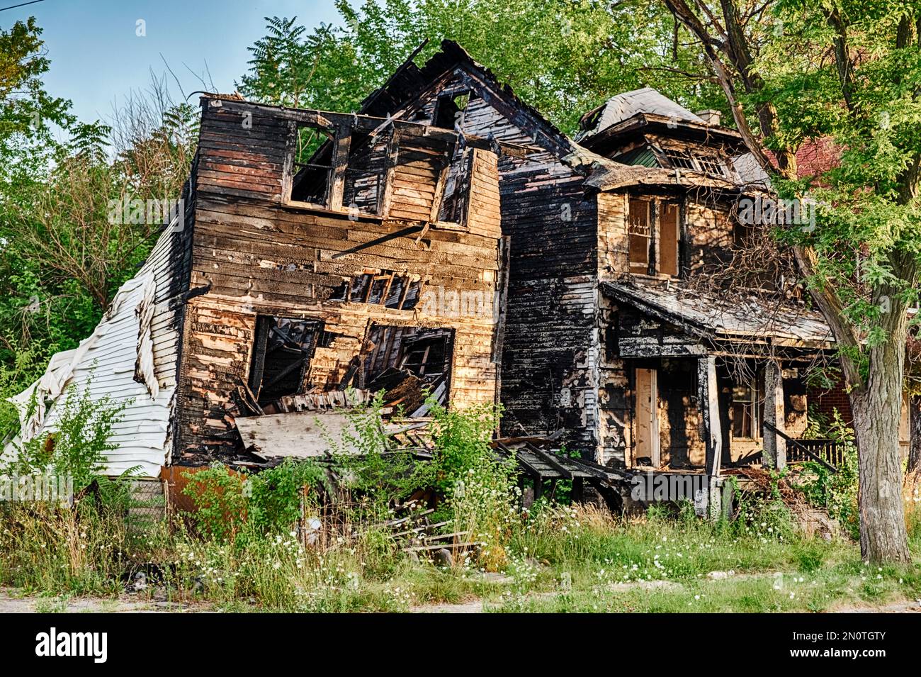 Home blight hi-res stock photography and images - Alamy