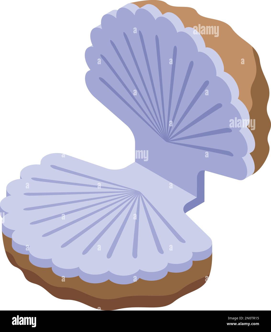 Sea shell icon isometric vector. Seashell snail. Clam scallop Stock ...