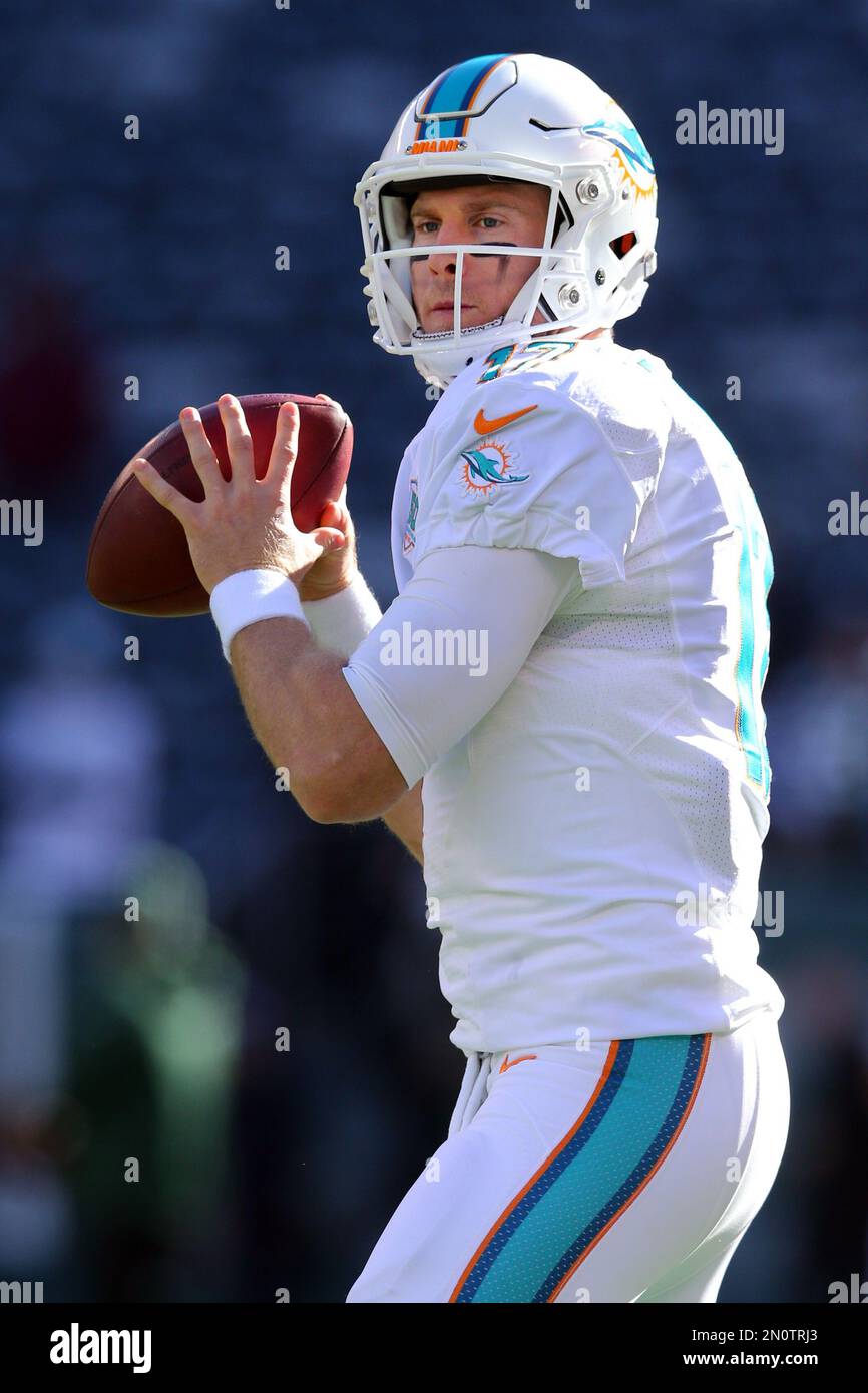 Miami Dolphins quarterback Ryan Tannehill (17) before an NFL game ...