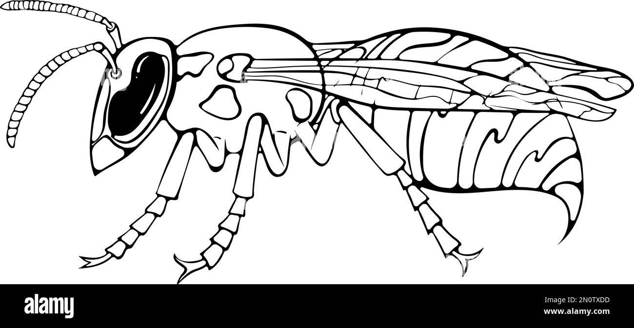 Close up view farm Stock Vector Images - Alamy