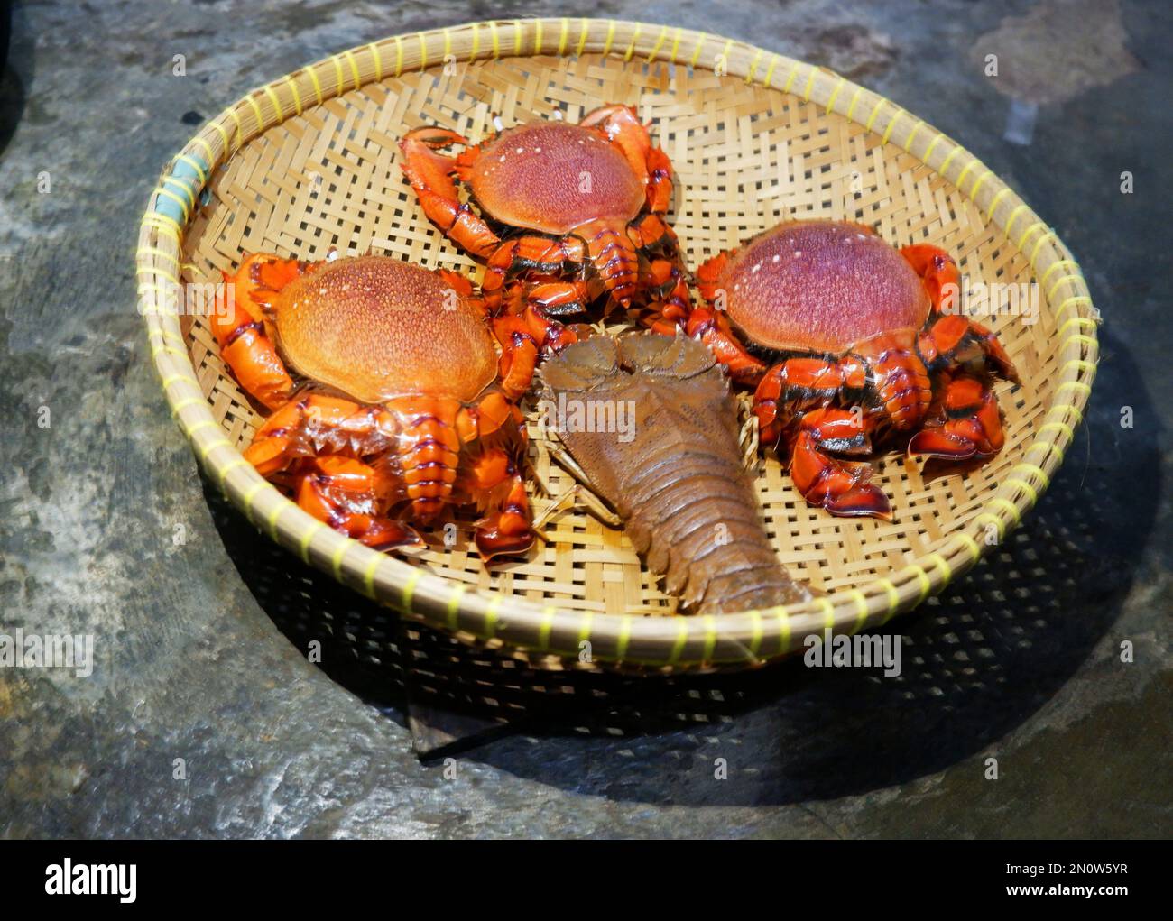 Spanner crab hi-res stock photography and images - Alamy