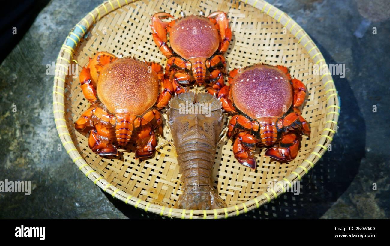Spanner crab hi-res stock photography and images - Alamy