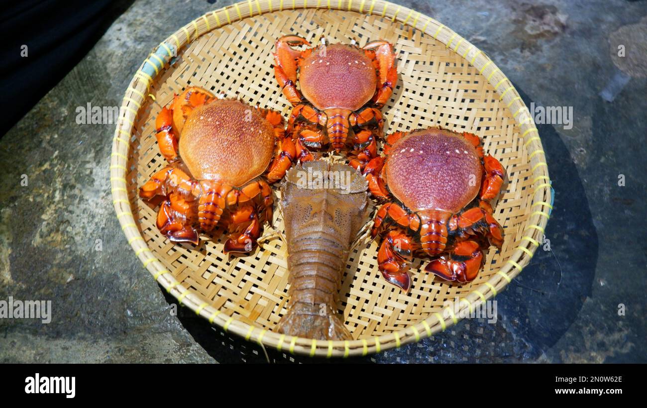 Spanner crab hi-res stock photography and images - Alamy