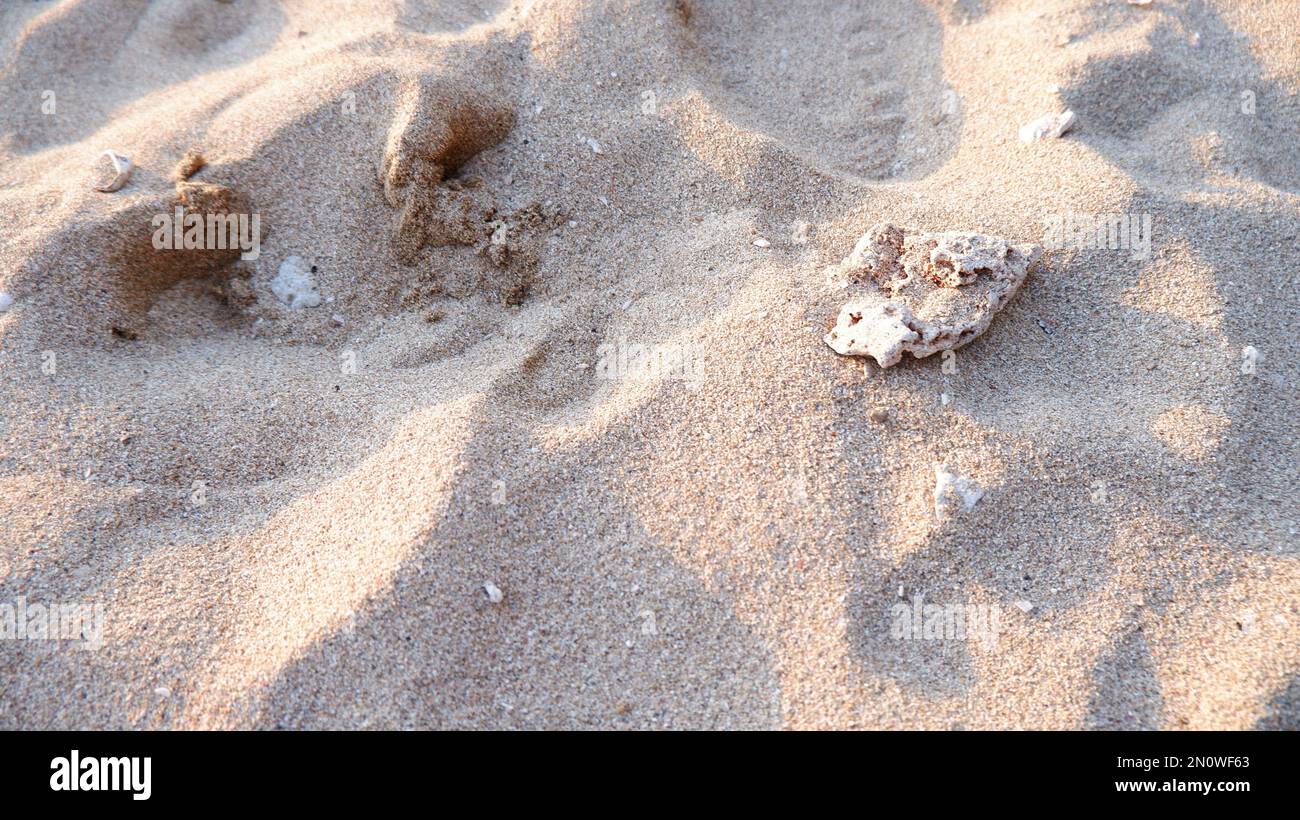 Full frame shot. Close up sand texture on beach in summer. Nature of ...