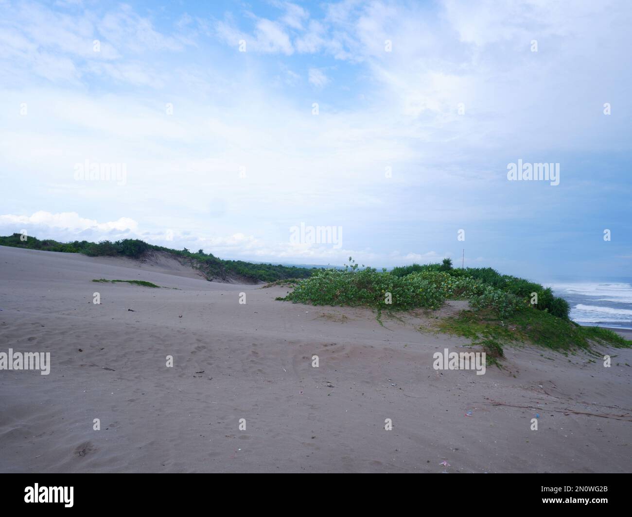 Turquoise water, white waves, blue sky, Green grass, White sand ...