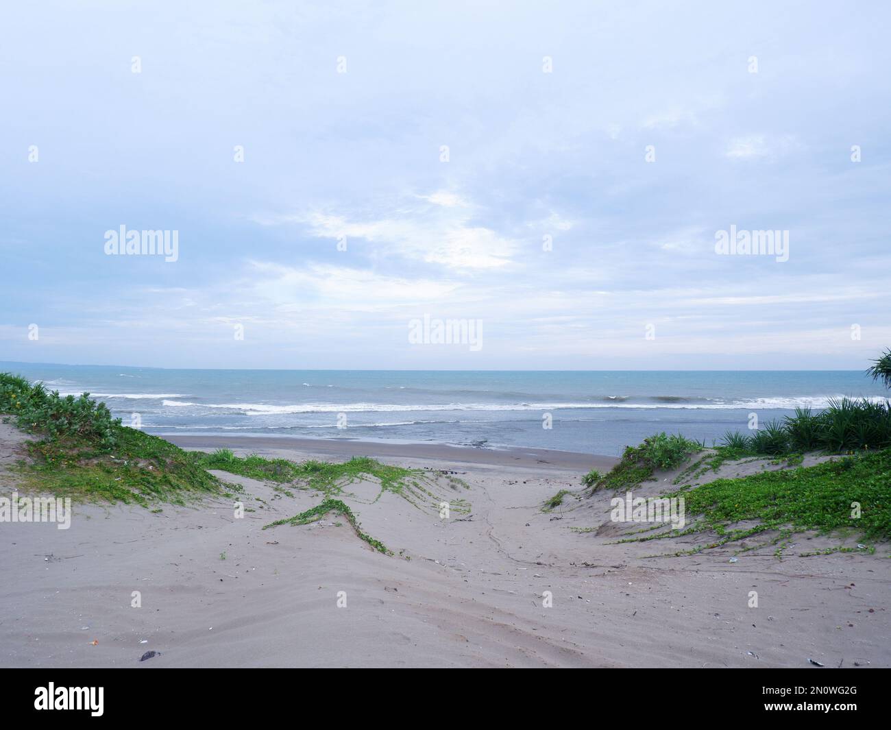 Turquoise water, white waves, blue sky, Green grass, White sand ...