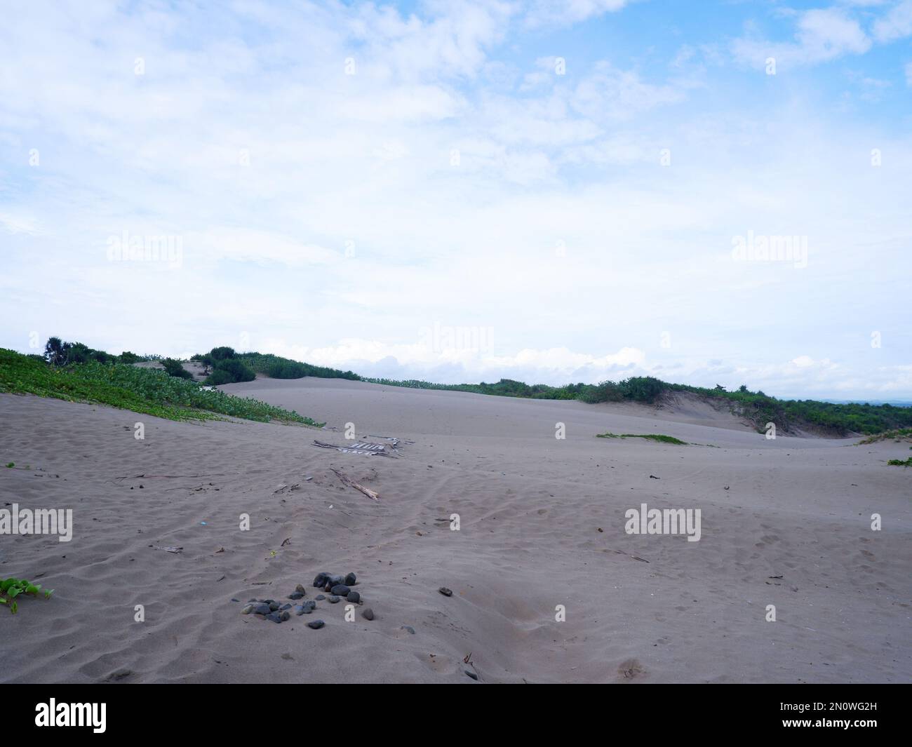 Turquoise water, white waves, blue sky, Green grass, White sand ...
