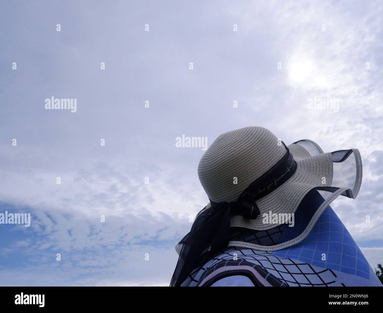 The back of the woman in the blue hat who was looking up at the blue ...