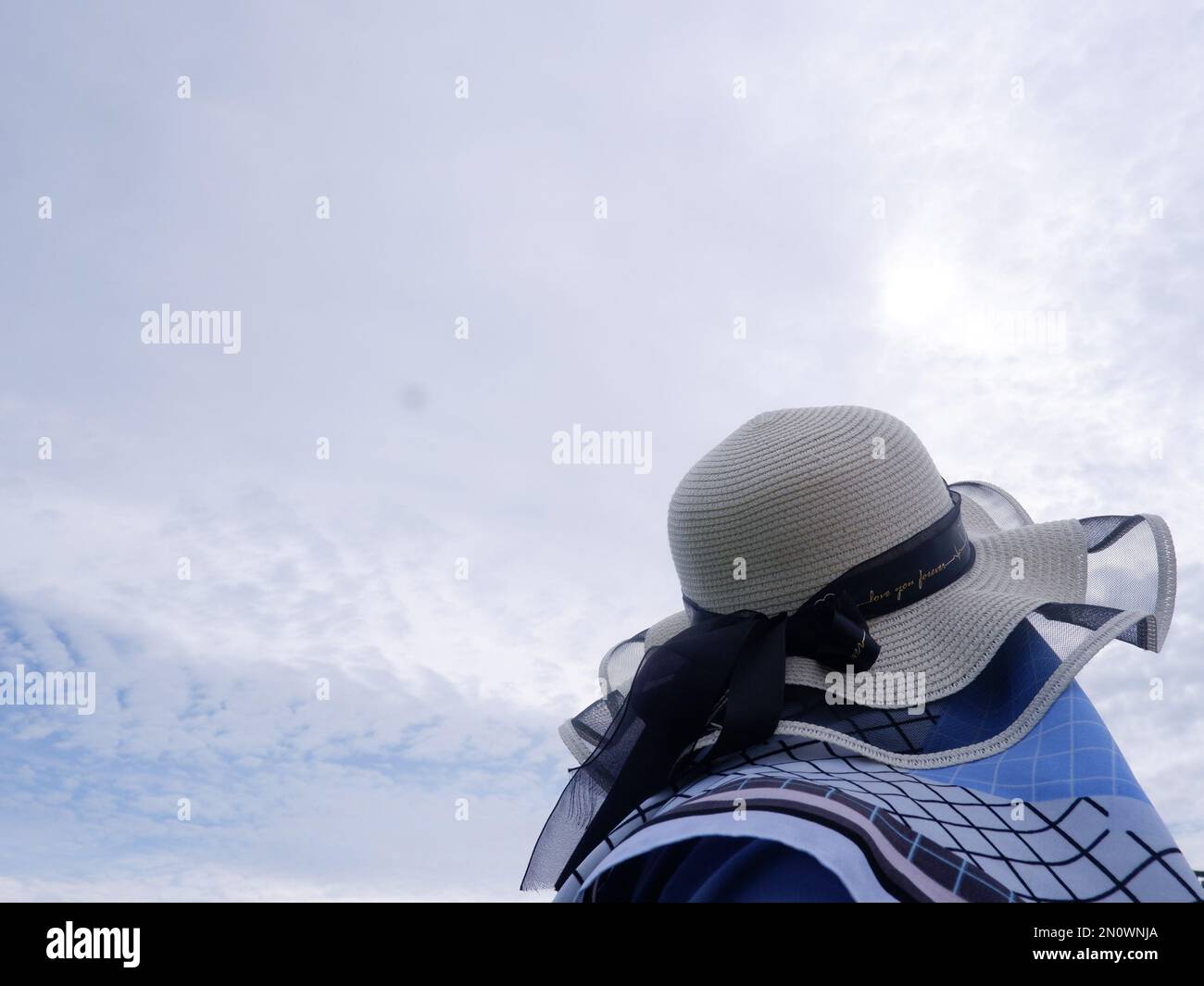 The back of the woman in the blue hat who was looking up at the blue ...