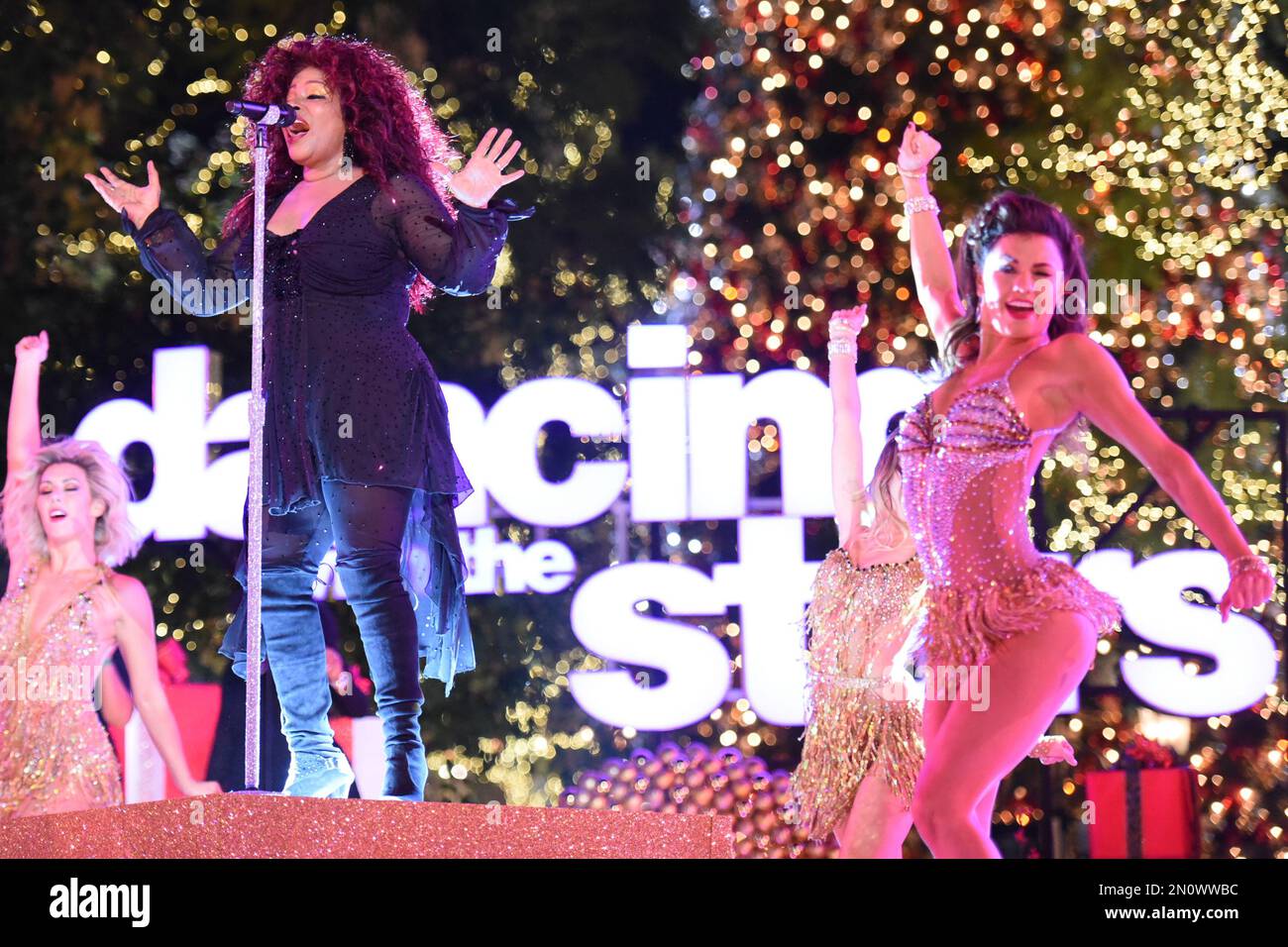 Chaka Khan performs onstage during the finale of "Dancing With The ...