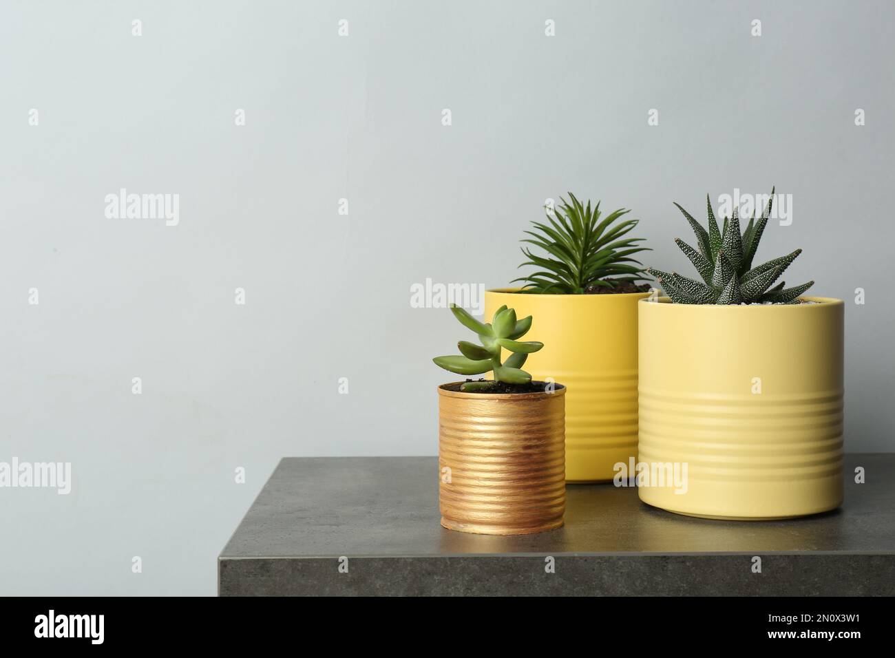 Beautiful plants in tin cans on grey stone table. Space for text Stock ...
