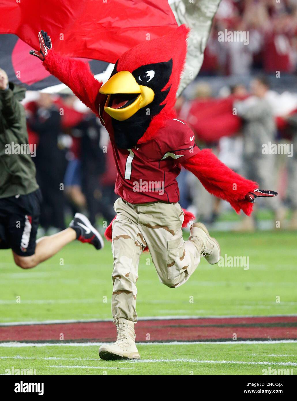Arizona Cardinals mascot Big Red in the first half during an NFL ...