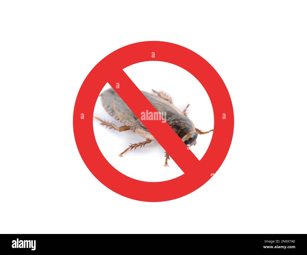 Cockroach with red prohibition sign on white background. Pest control ...