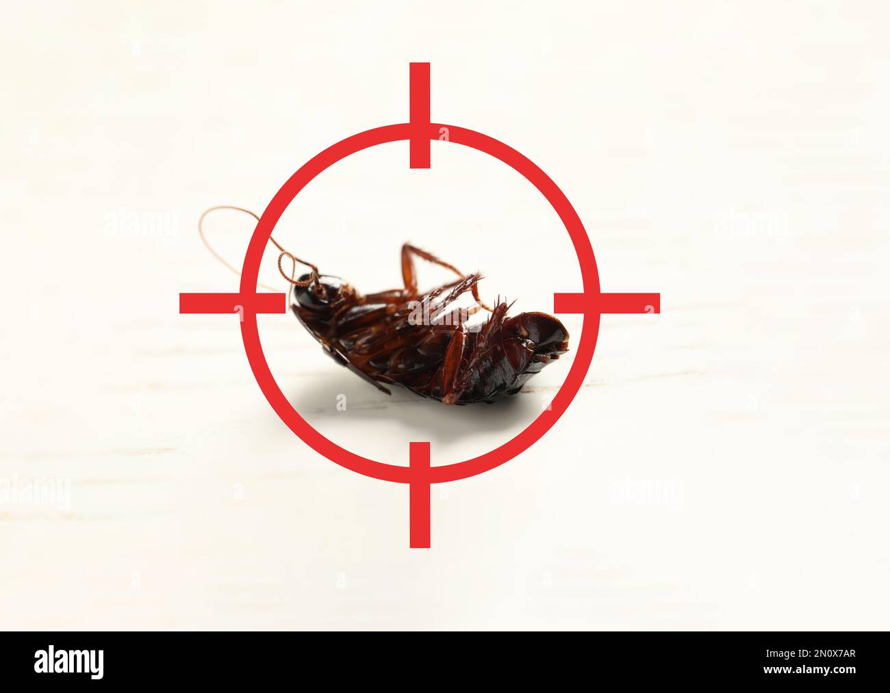 Dead cockroach with red target symbol on white surface. Pest control ...