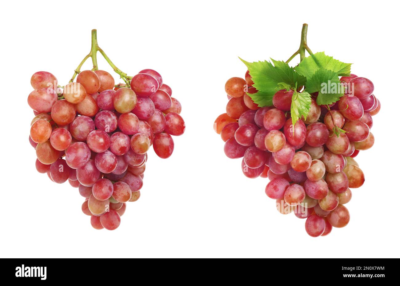 Two fresh grape clusters on white background Stock Photo - Alamy
