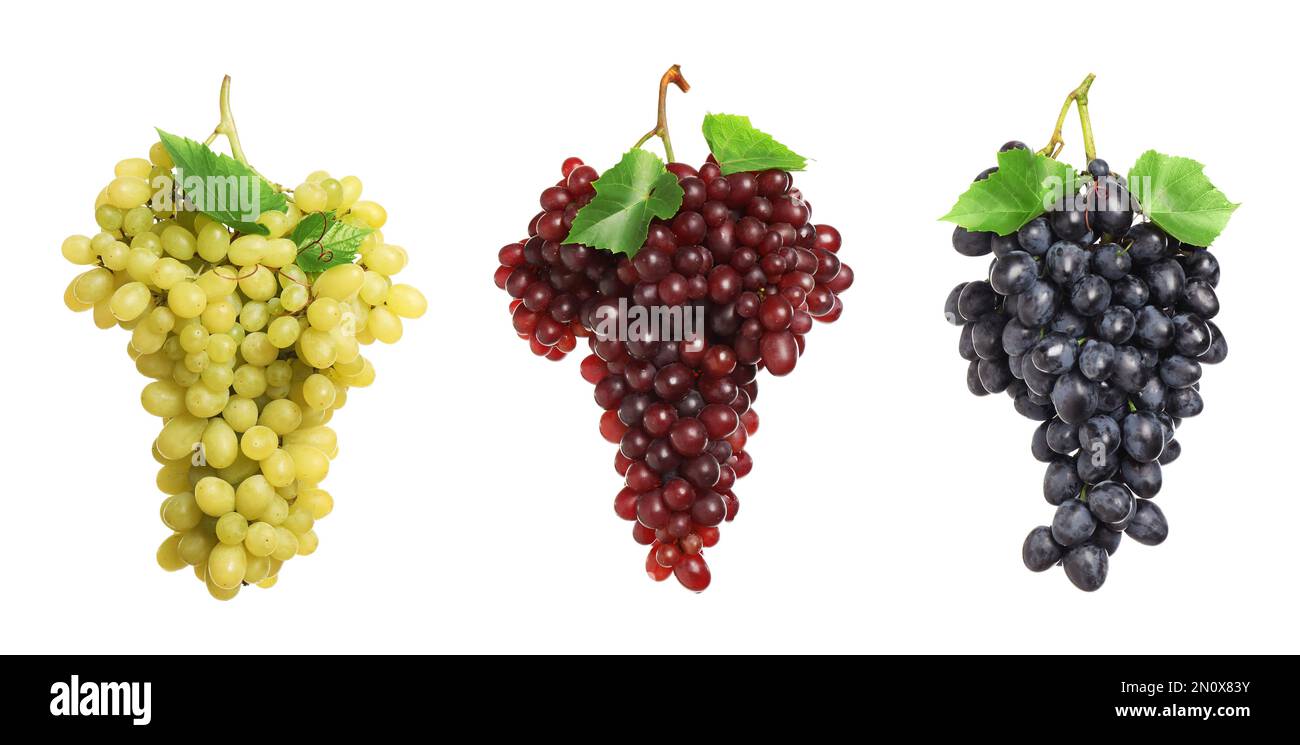 Set of fresh grapes on white background. Banner design Stock Photo - Alamy