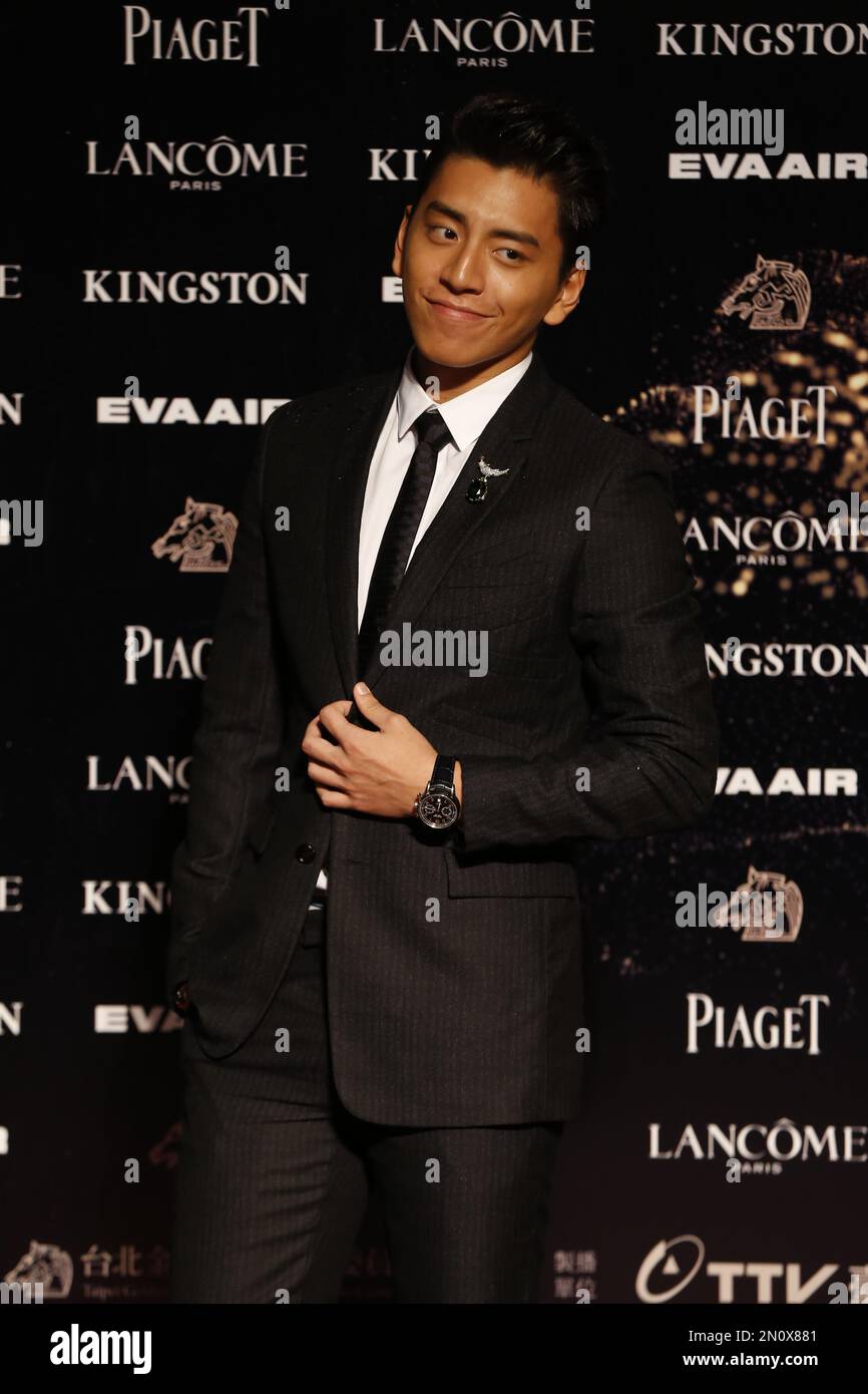 Taiwanese actor Darren Wang poses on the red carpet at the 52nd Golden ...