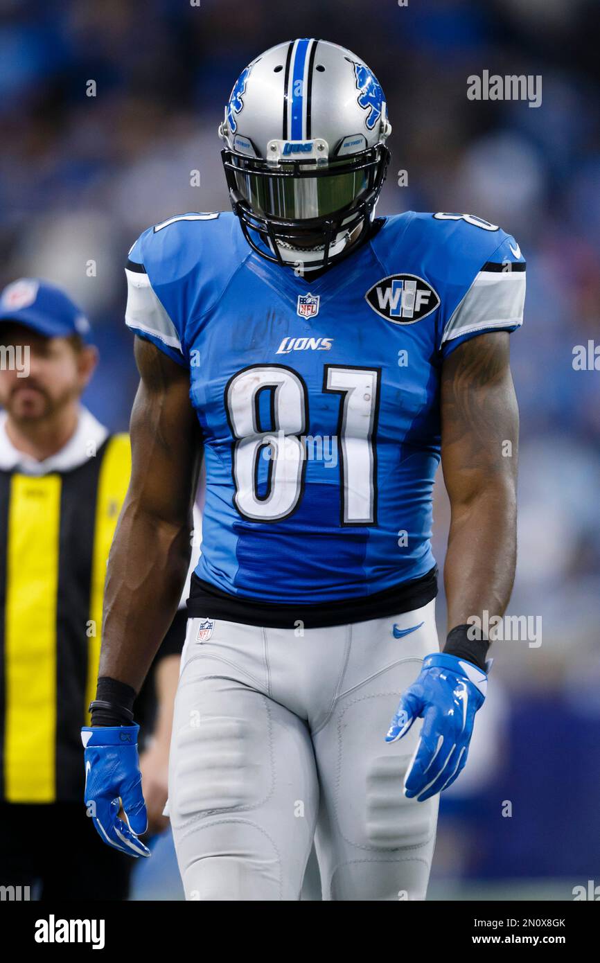 Detroit Lions wide receiver Calvin Johnson (81) is seen during an NFL ...