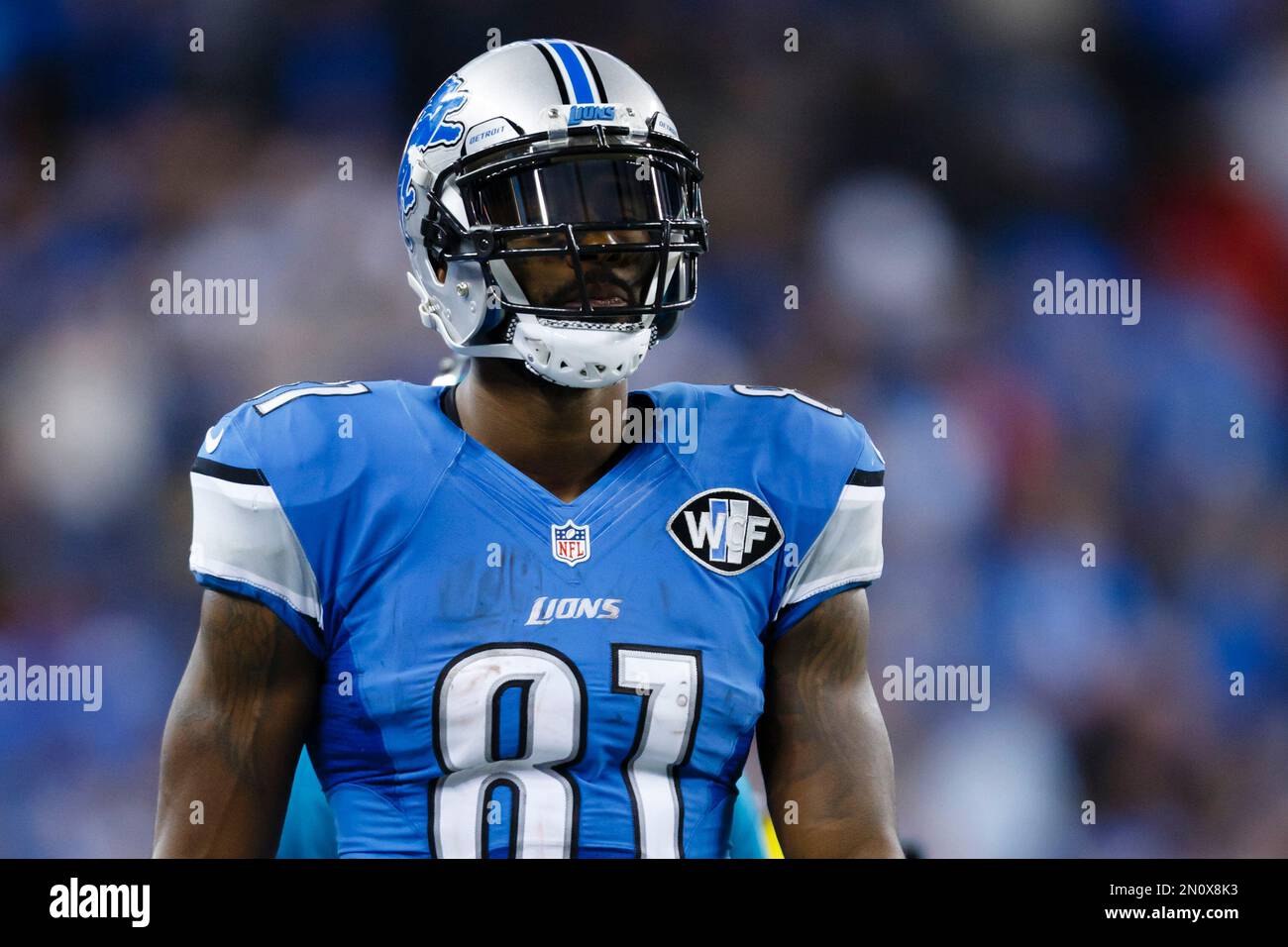 Detroit Lions wide receiver Calvin Johnson (81) is seen during an NFL ...