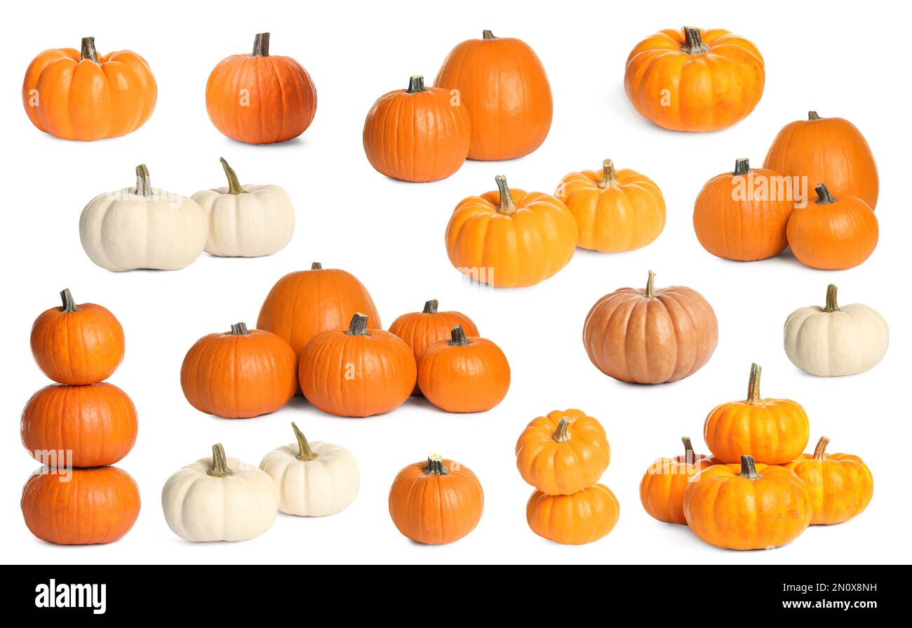 Heap different fresh pumpkins Cut Out Stock Images & Pictures - Alamy