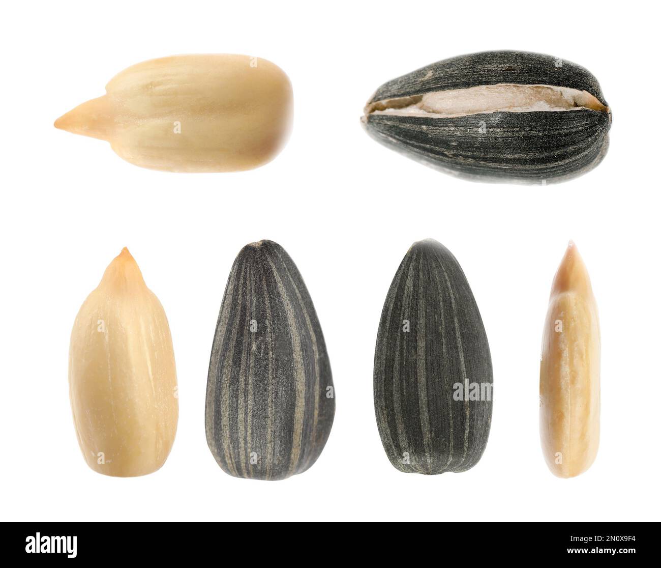 Set different grain seeds hi-res stock photography and images - Alamy