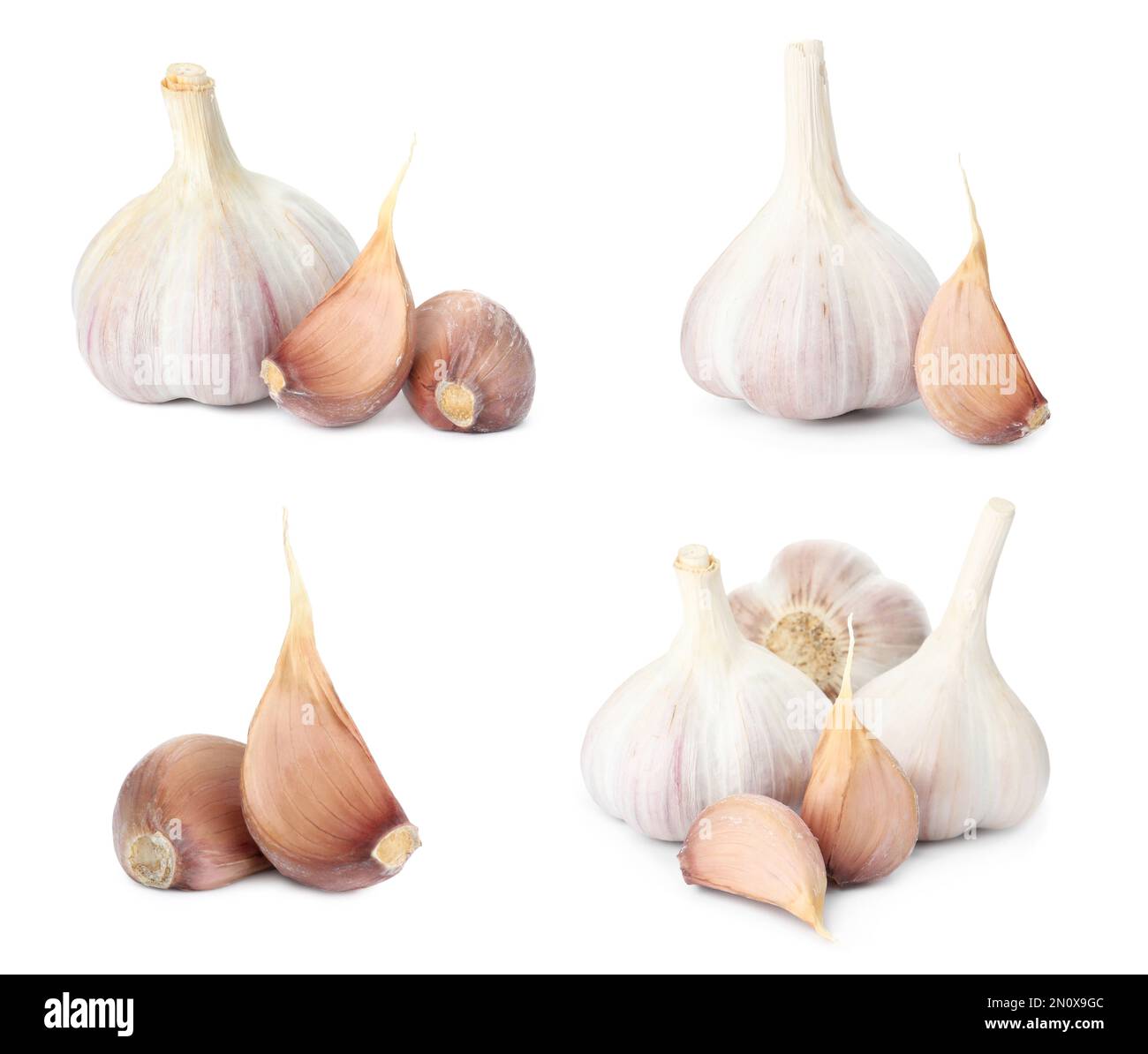 Set of garlic bulbs and cloves on white background Stock Photo - Alamy