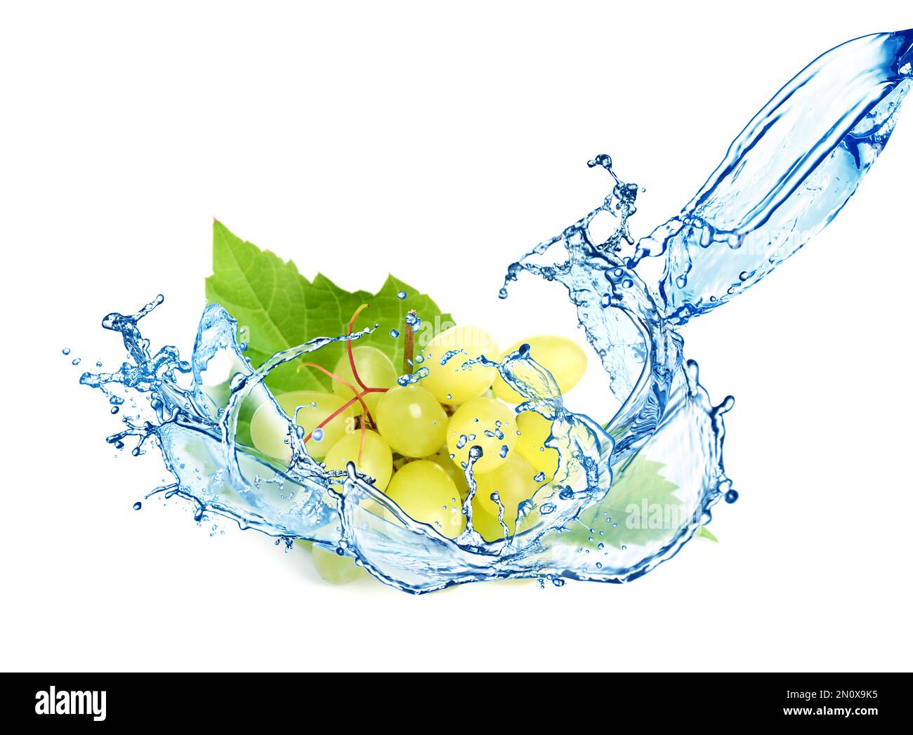 Grape cluster with water splash on white background Stock Photo - Alamy