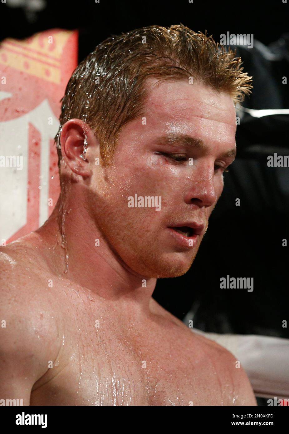 Canelo Alvarez, of Mexico, sits in his corner between rounds against ...