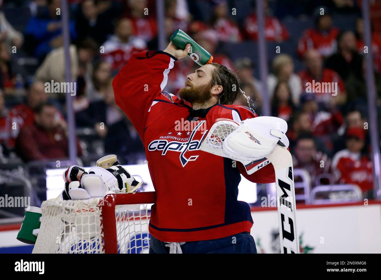 Braden Holtby Hair