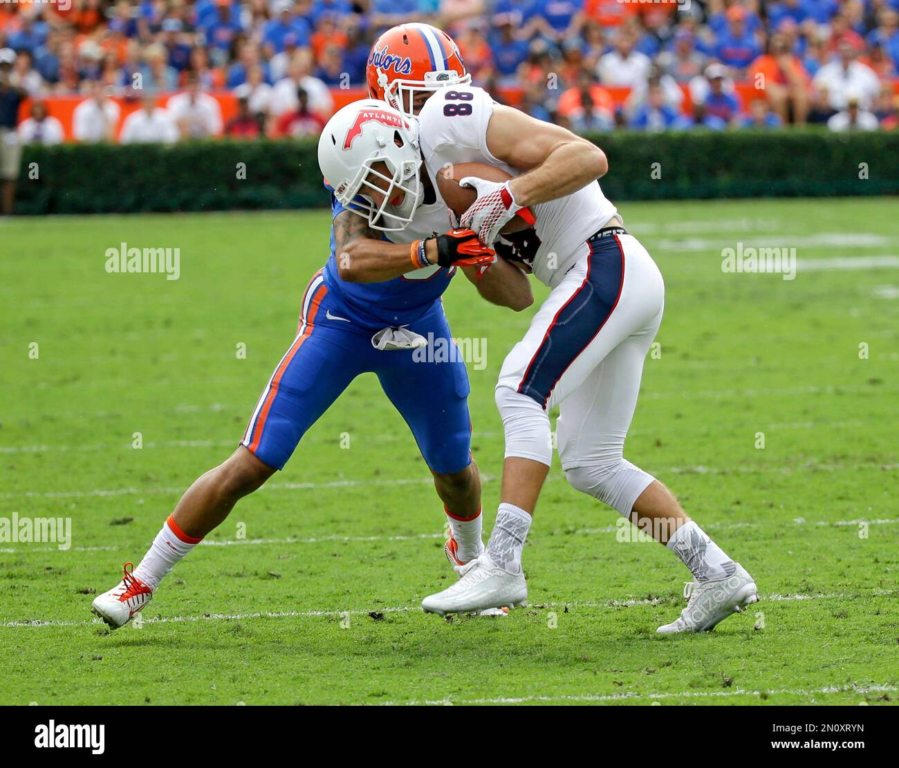 Florida Atlantic wide receiver Jenson Stoshak (88) makes a reception in ...